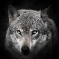 Medieval Alchemy Furnace - 3D Alchemist Stove Model Low Poly